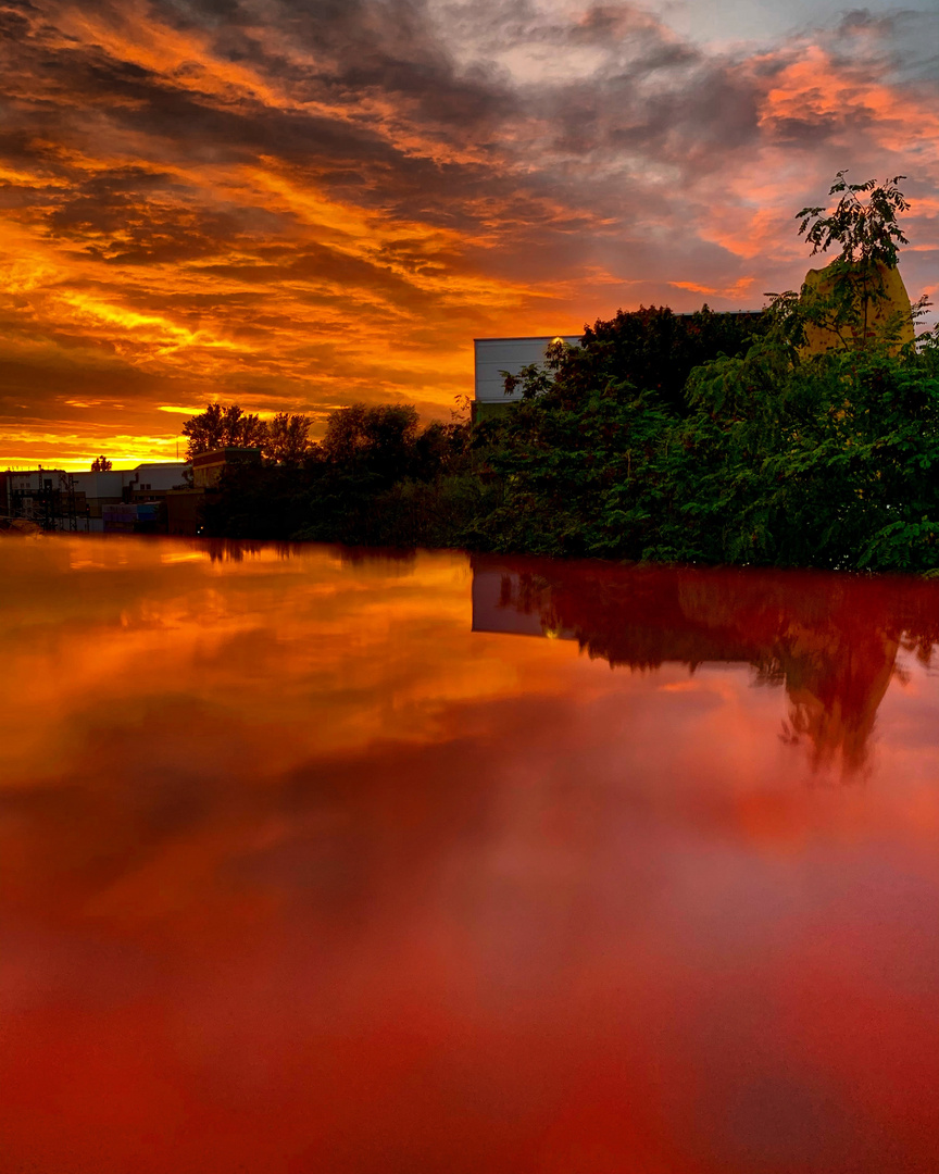Die Spree Foto & Bild | natur-kreativ, aufnahmetechniken, natur fine ...