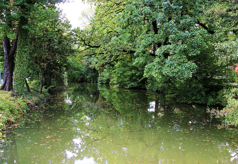 Die Spree in Cottbus Foto & Bild | landschaft, bach, fluss & see ...