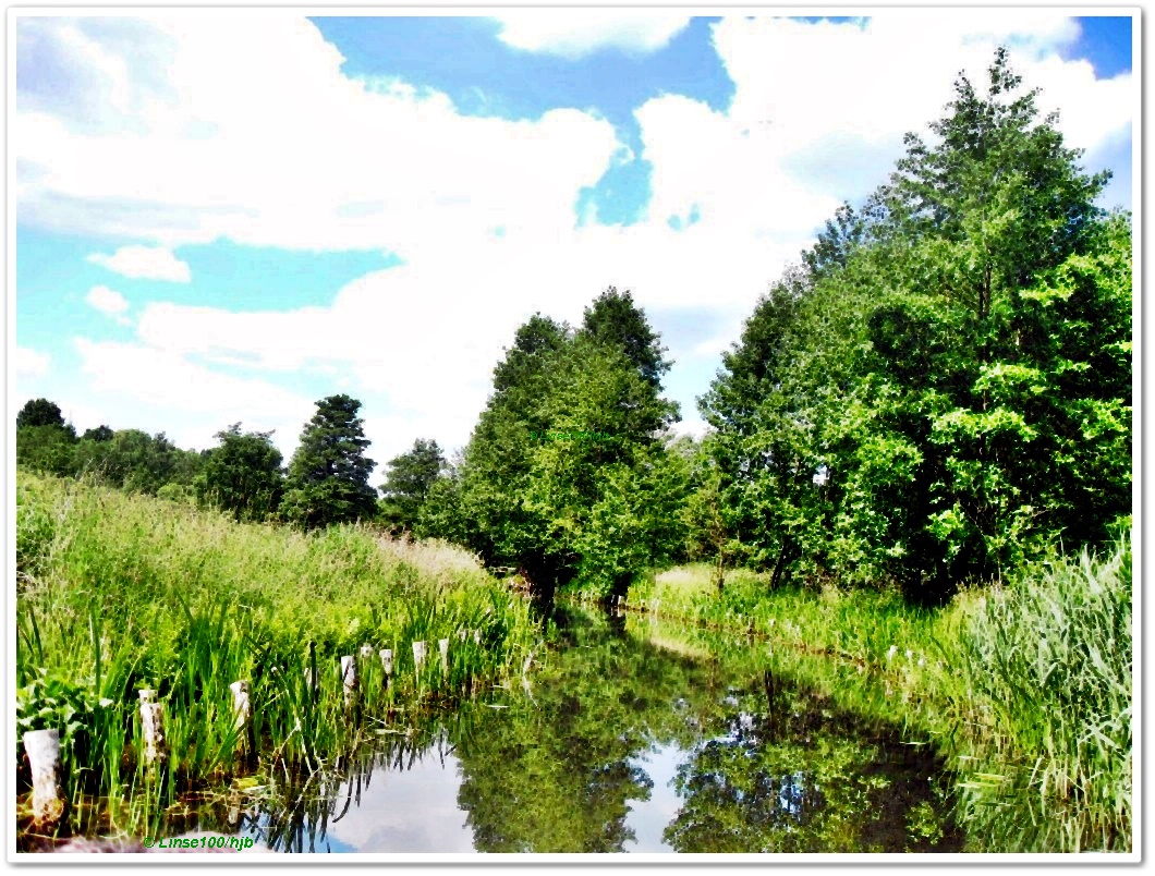Die Spree unermüdlich auf dem Weg nach Berlin Foto & Bild | natur ...