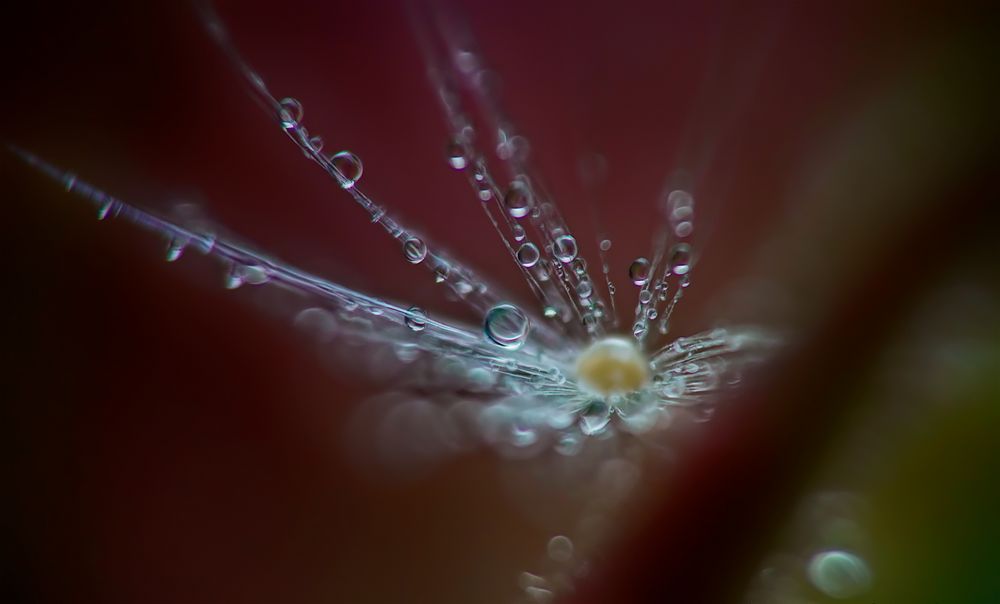 die stille oase findet man nur mit einem lieben lächeln ... Foto & Bild ...