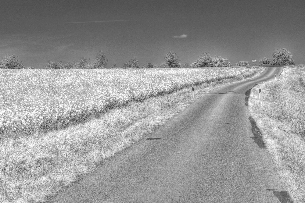 die Strasse nach...? Foto & Bild | landschaft, infrarot, techniken ...
