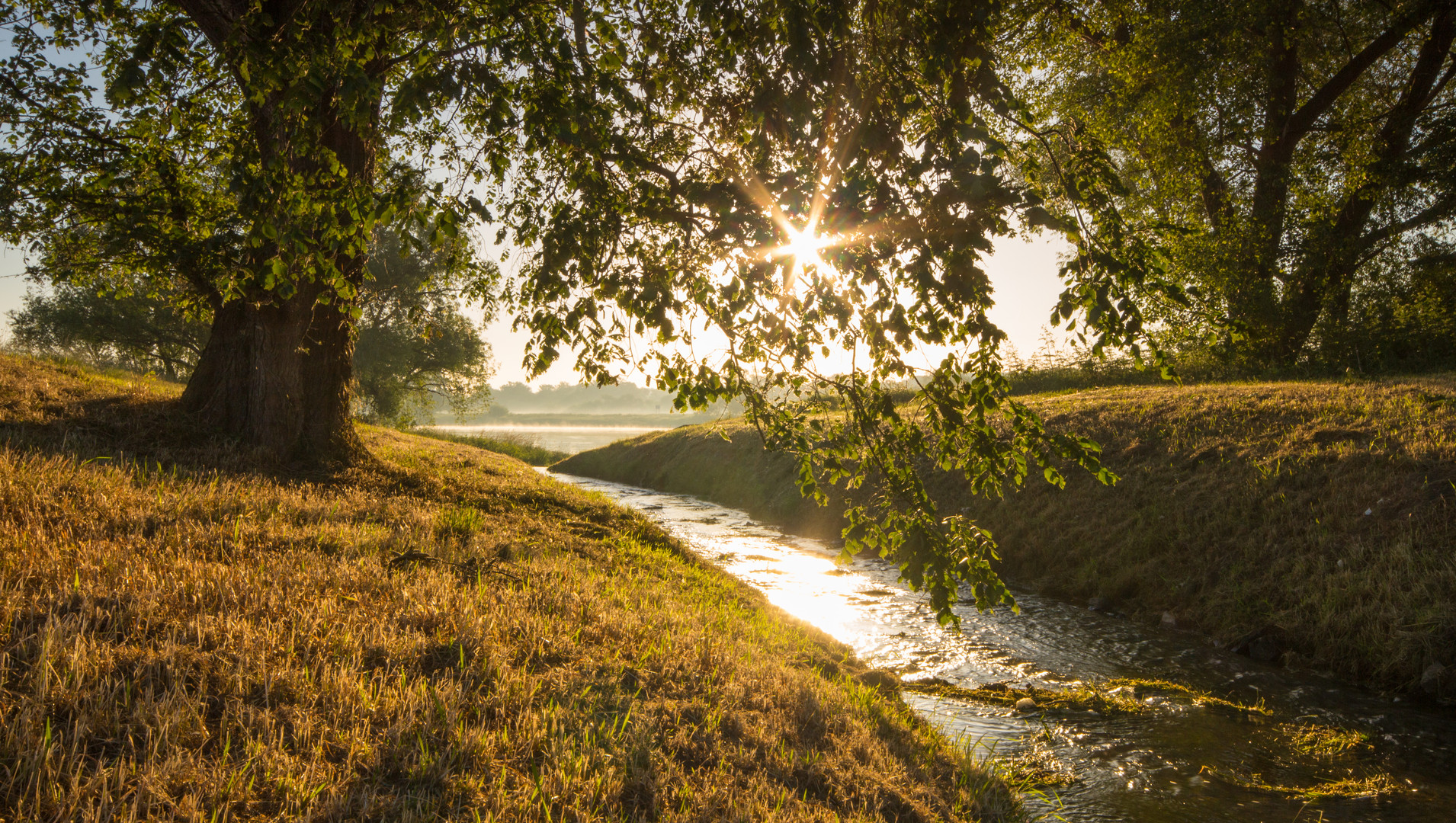 Die Sülze... Foto & Bild | landschaft, bach, fluss & see, flüsse und ...