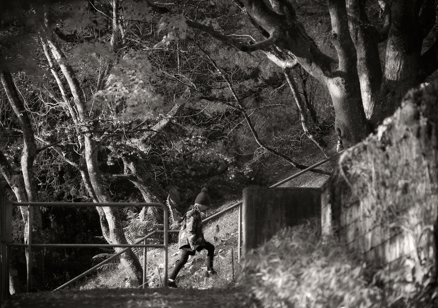 Die Treppe hoch Foto & Bild | kinder, streetfotografie mit menschen ...