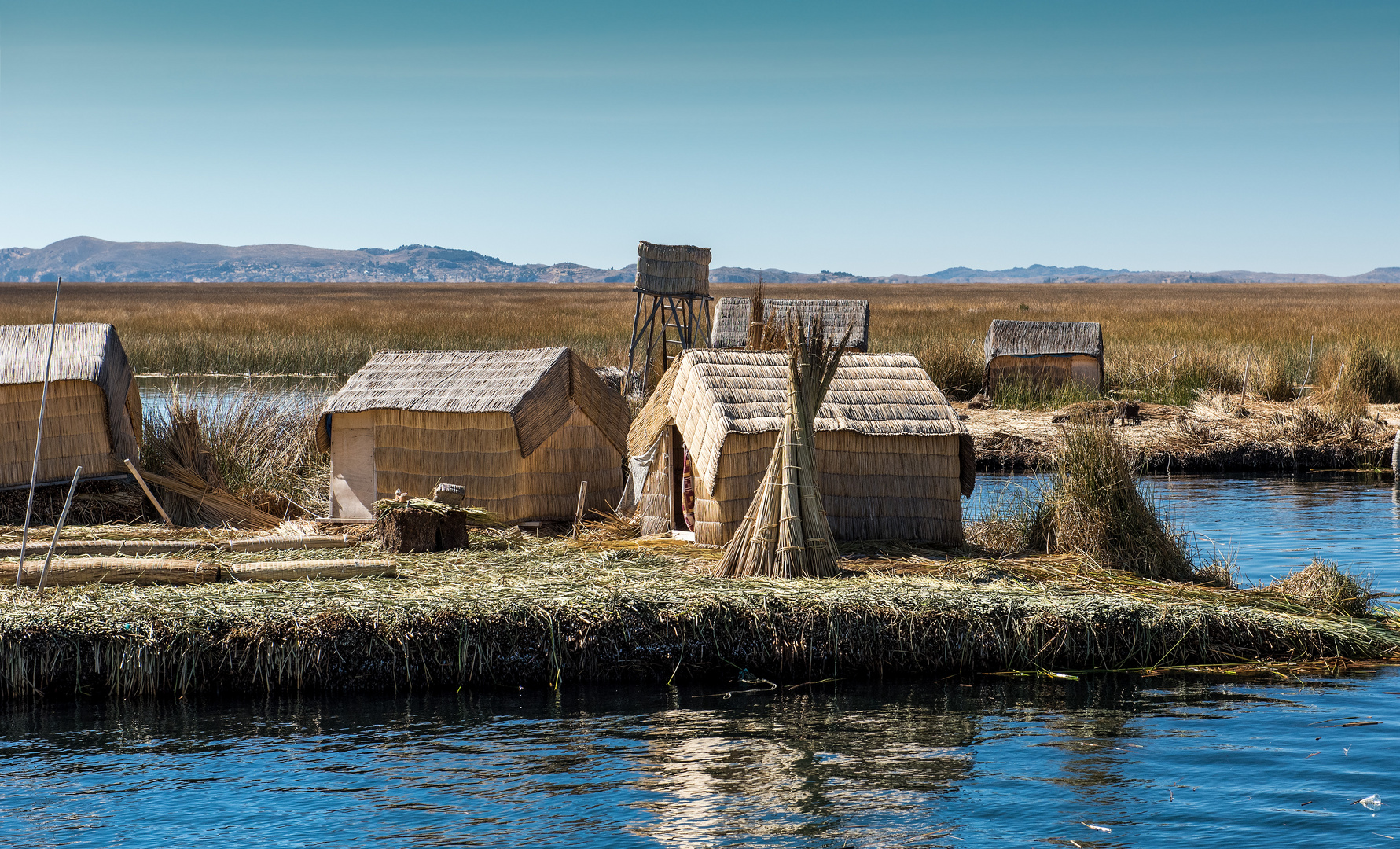 Die Urus (1) Foto & Bild | world, wasser, schilf Bilder auf fotocommunity