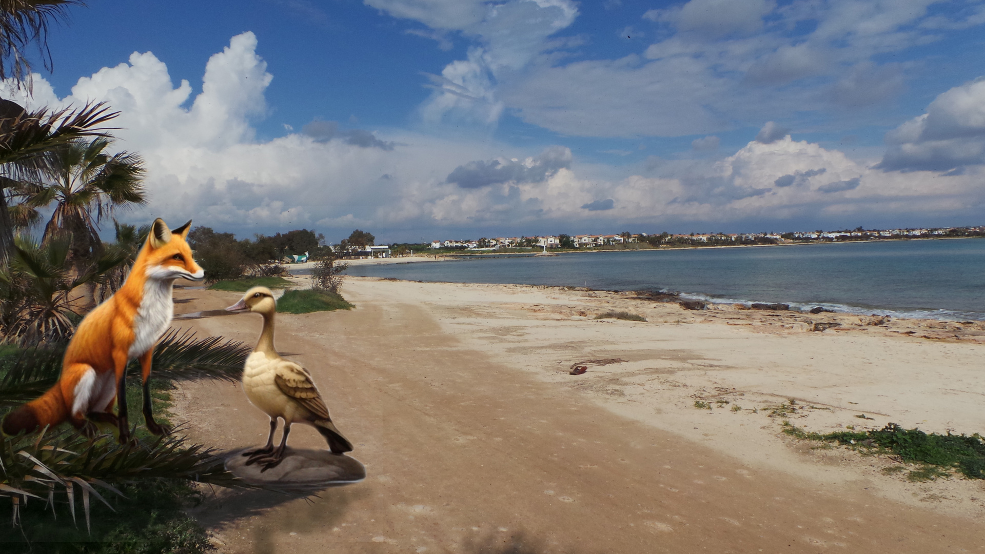 Die Verabredung... *-* Foto & Bild | fotomontage, bearbeitungs ...