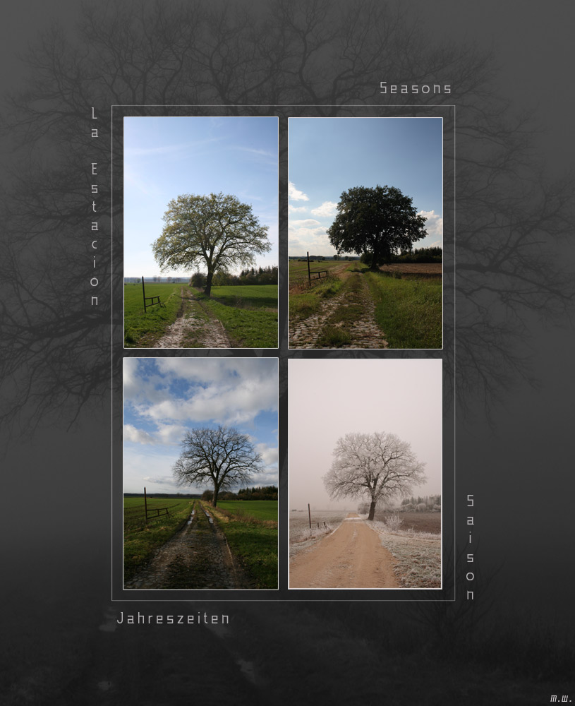 Die Vier Jahreszeiten Foto & Bild | jahreszeiten, natur Bilder auf fotocommunity