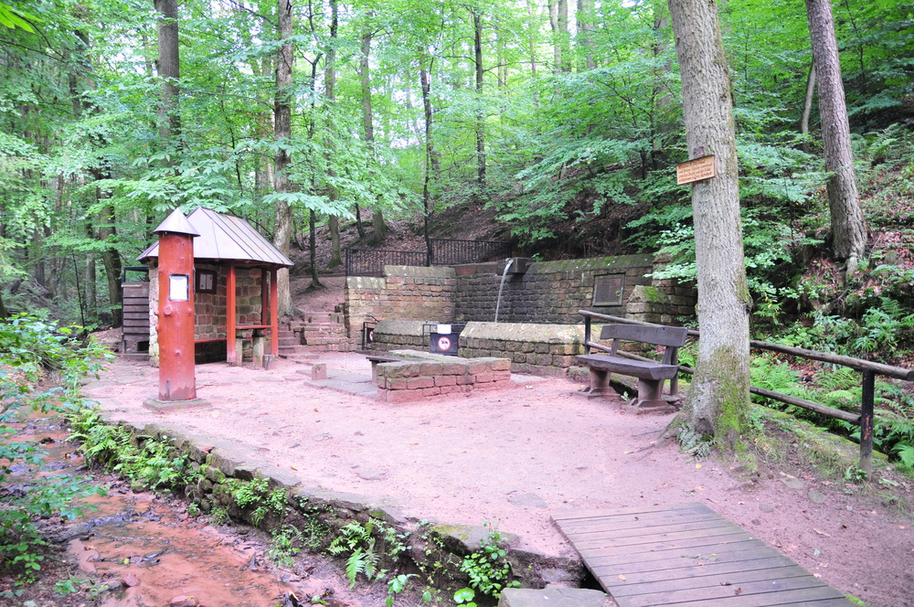 Die Walddusche Foto & Bild | landschaft, wald, natur Bilder auf ...