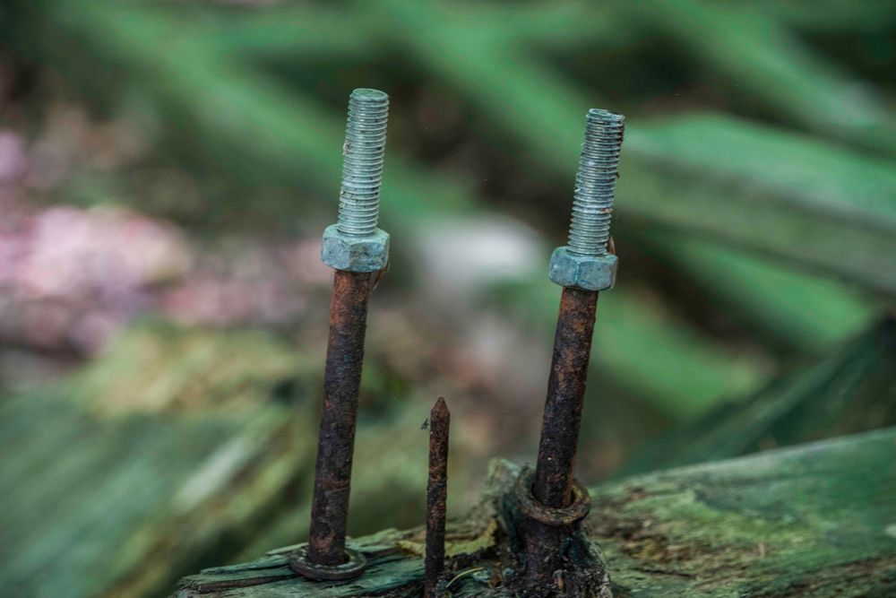 Die Waldmuttern Foto & Bild | spezial, muttern, projekte Bilder auf ...