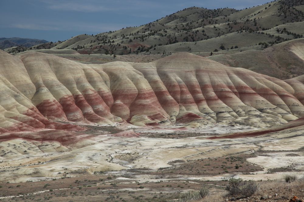 Die weichen Hügel Oregons Foto & Bild | usa, world, natur Bilder auf ...