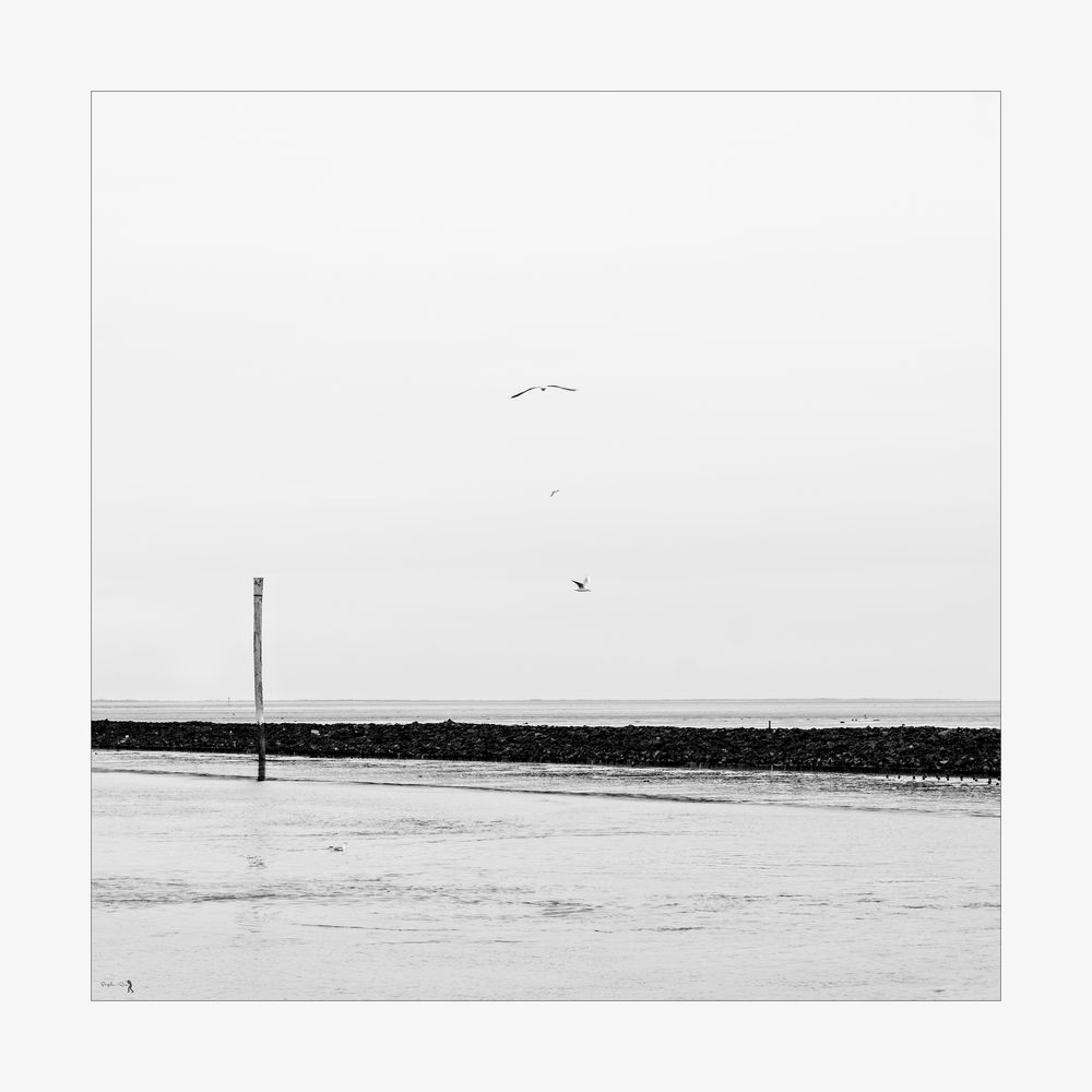 Die Weite Foto & Bild | fotos, meer, natur Bilder auf fotocommunity