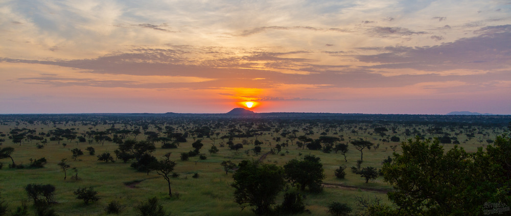 Die Weite der Savanne Foto & Bild | landschaft, naturlandschaft bei ...