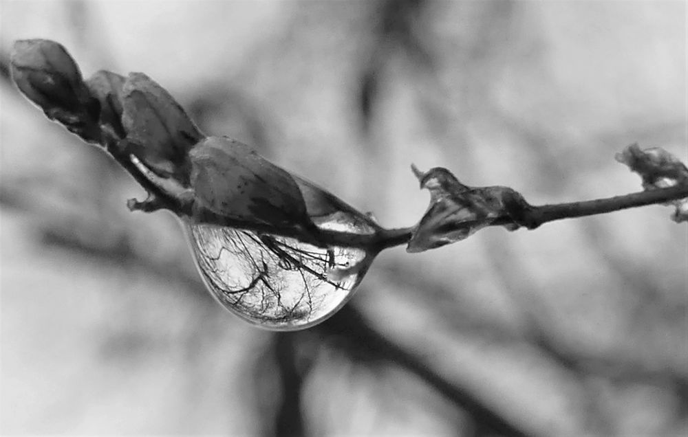 die Welt der Tropfen Foto & Bild | sonstiges, projekte, wasser im ...