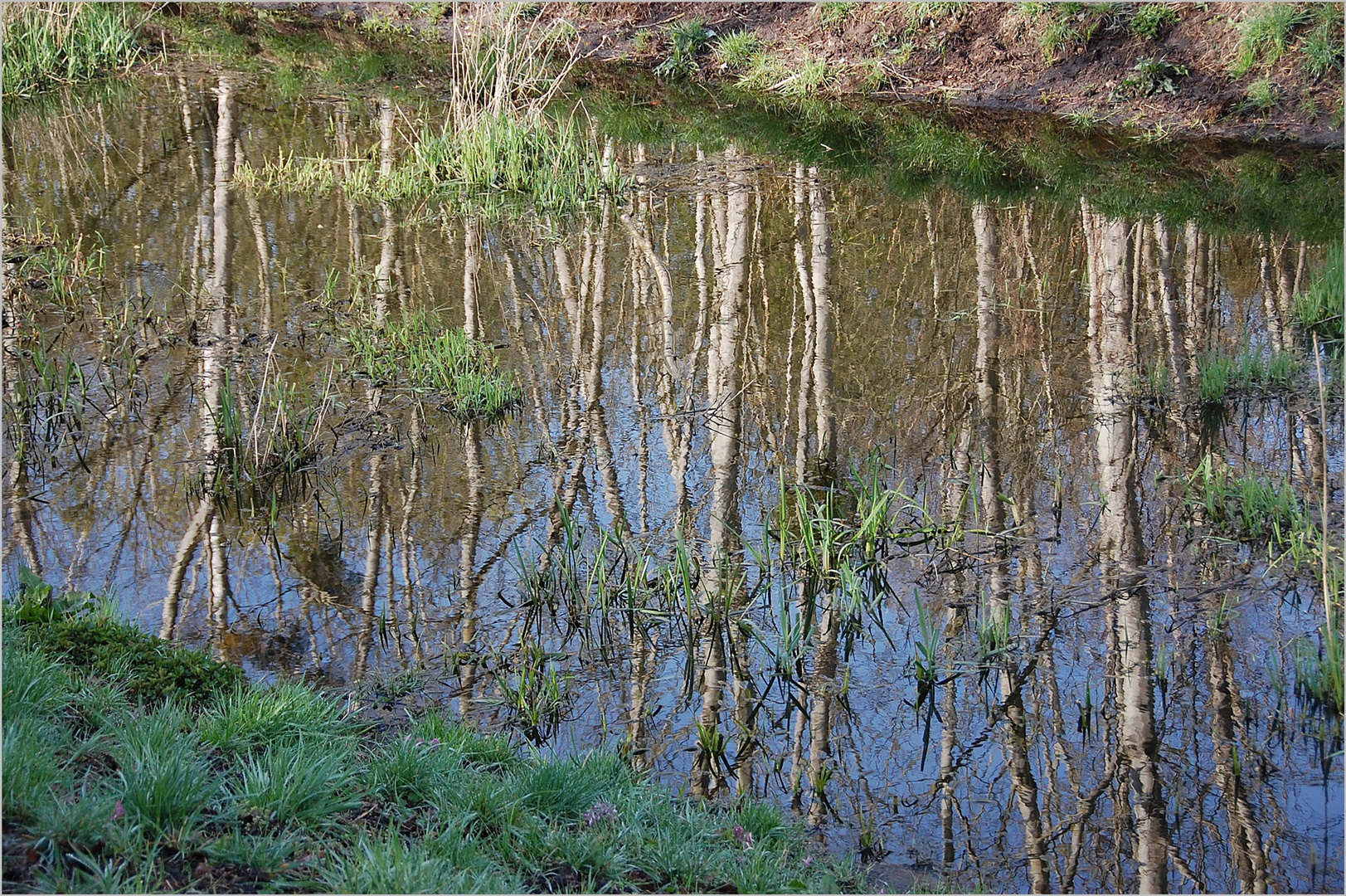 die Welt steht auf dem Kopf Foto & Bild | landschaft, spiegelung, amazonas Bilder auf fotocommunity