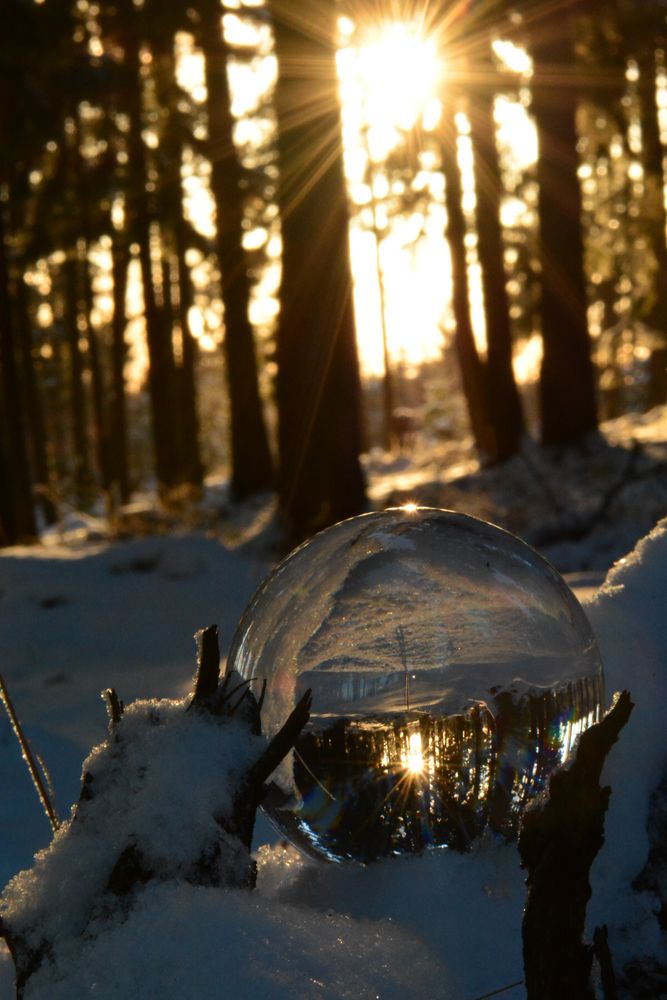 Die Welt steht Kopf Foto & Bild | jahreszeiten, winter, natur Bilder auf fotocommunity