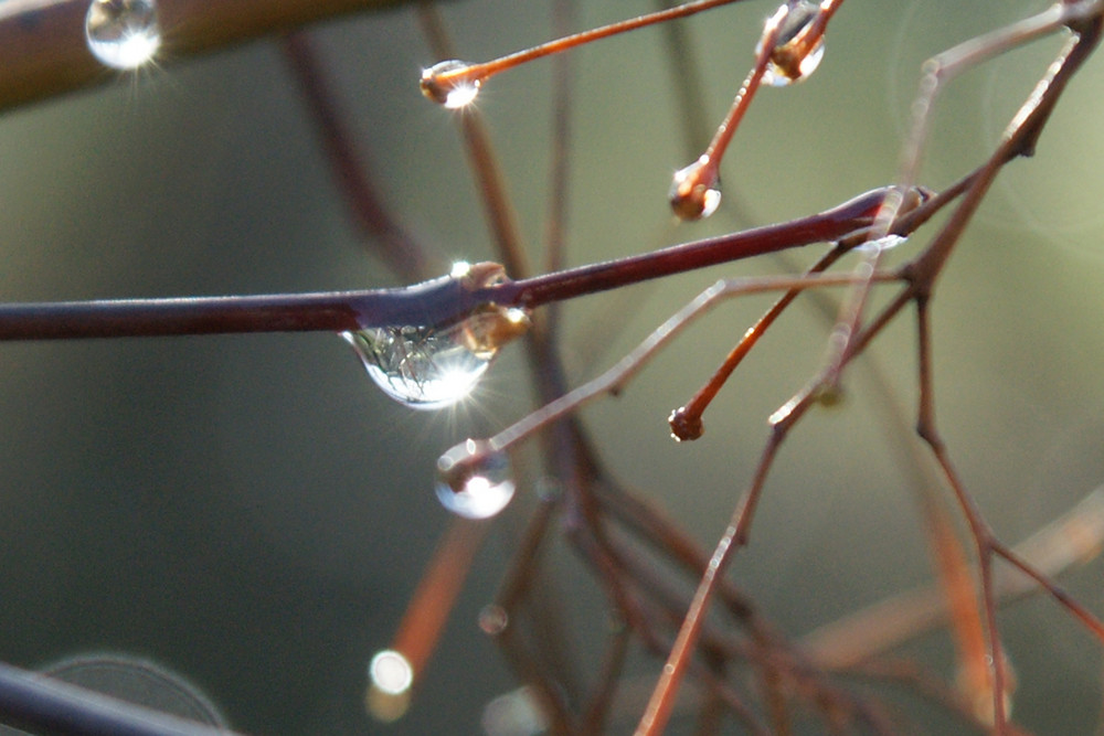 Die Welt steht Kopf Foto & Bild | die elemente, natur Bilder auf fotocommunity