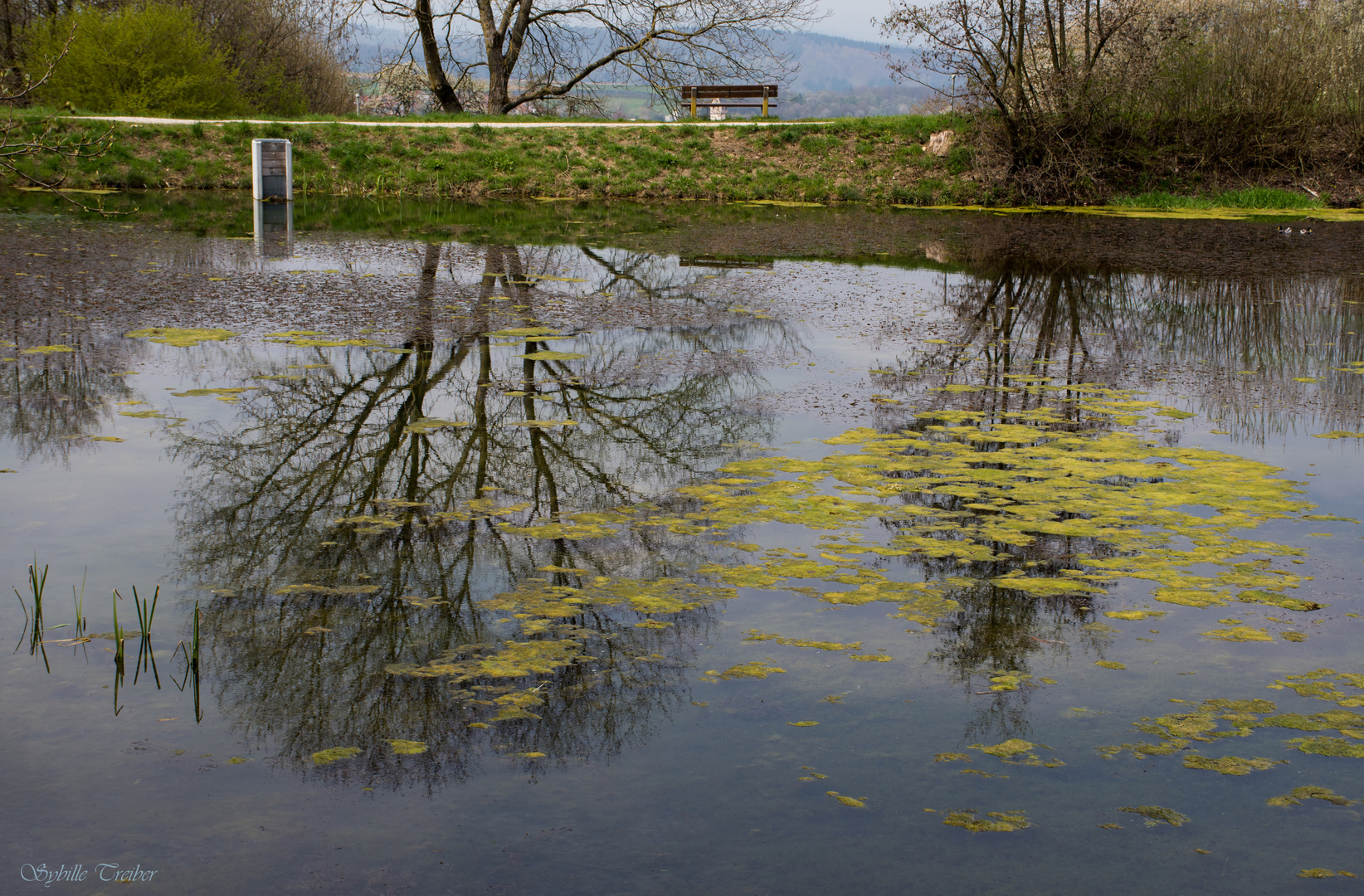 Die Welt steht Kopf Foto & Bild | deutschland, europe, baden- württemberg Bilder auf fotocommunity