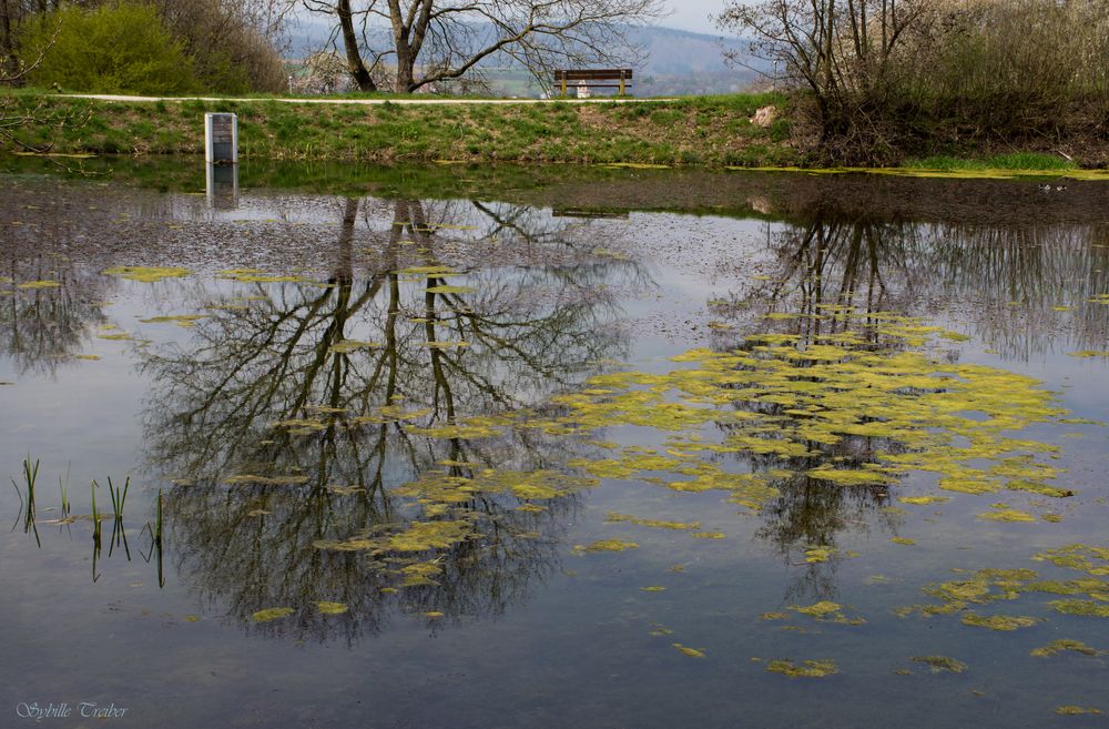 Die Welt steht Kopf Foto & Bild | deutschland, europe, baden- württemberg Bilder auf fotocommunity