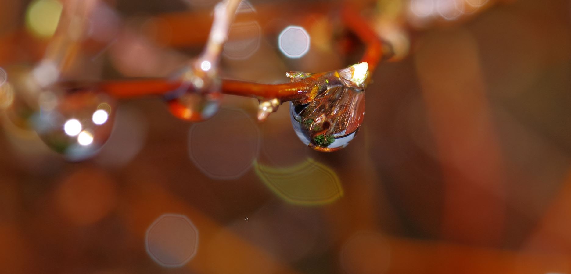 Die Welt steht Kopf Foto & Bild | nah- & makro, sonstiges, projekte Bilder auf fotocommunity