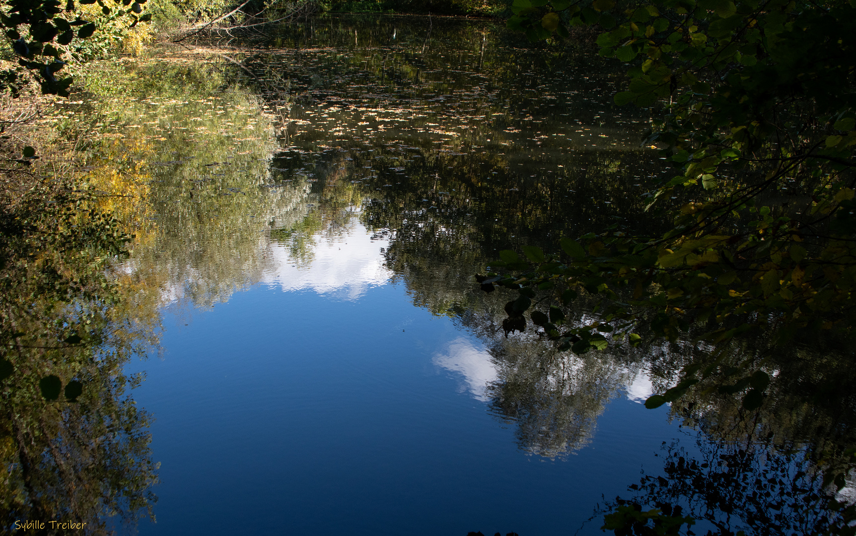 Die Welt steht Kopf Foto & Bild | deutschland, europe, baden- württemberg Bilder auf fotocommunity