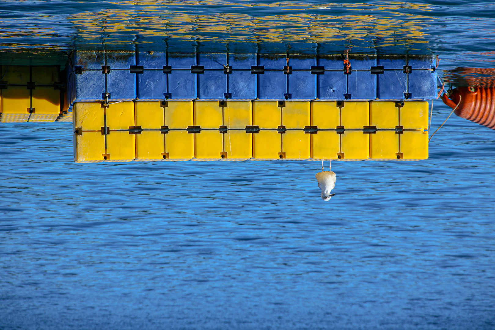 "Die Welt steht Kopf" Foto & Bild | reportage dokumentation, kunstfotografie & kultur, emotionen ...