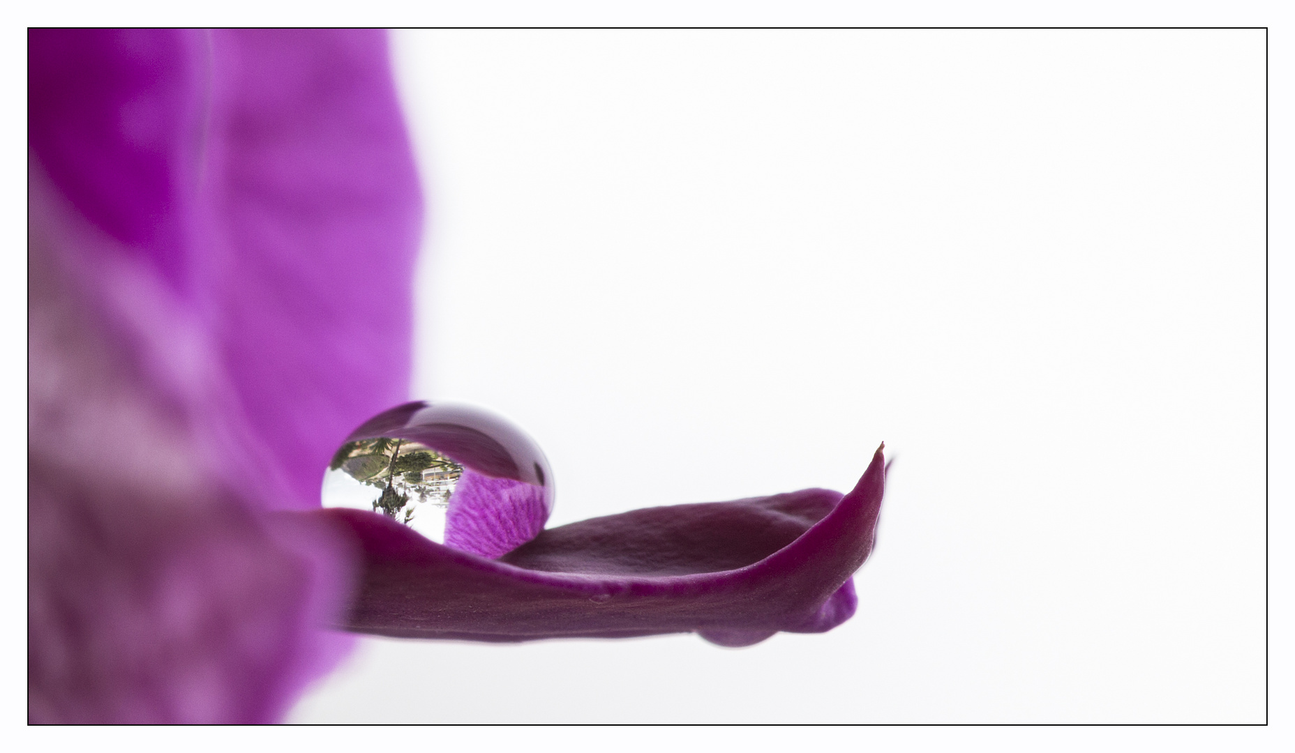 Die Welt steht Kopf - im Wassertropf Foto & Bild | spezial, wasser, natur Bilder auf fotocommunity