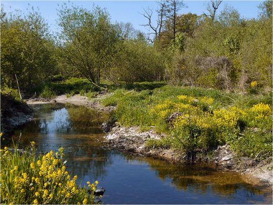 Bachläufe Bilder & Fotos