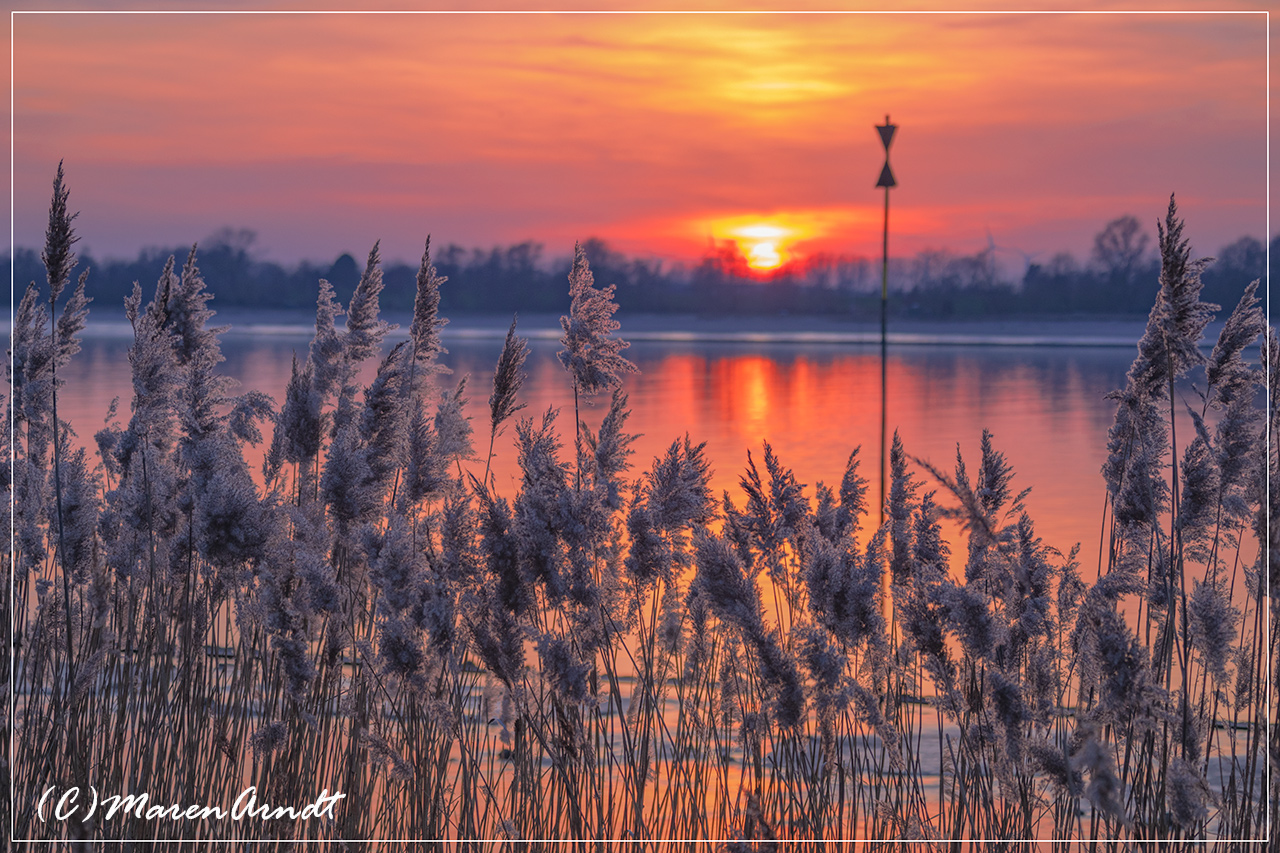 Die Weser - der rote Fluss Foto & Bild | fotos, world, sonnenuntergang ...