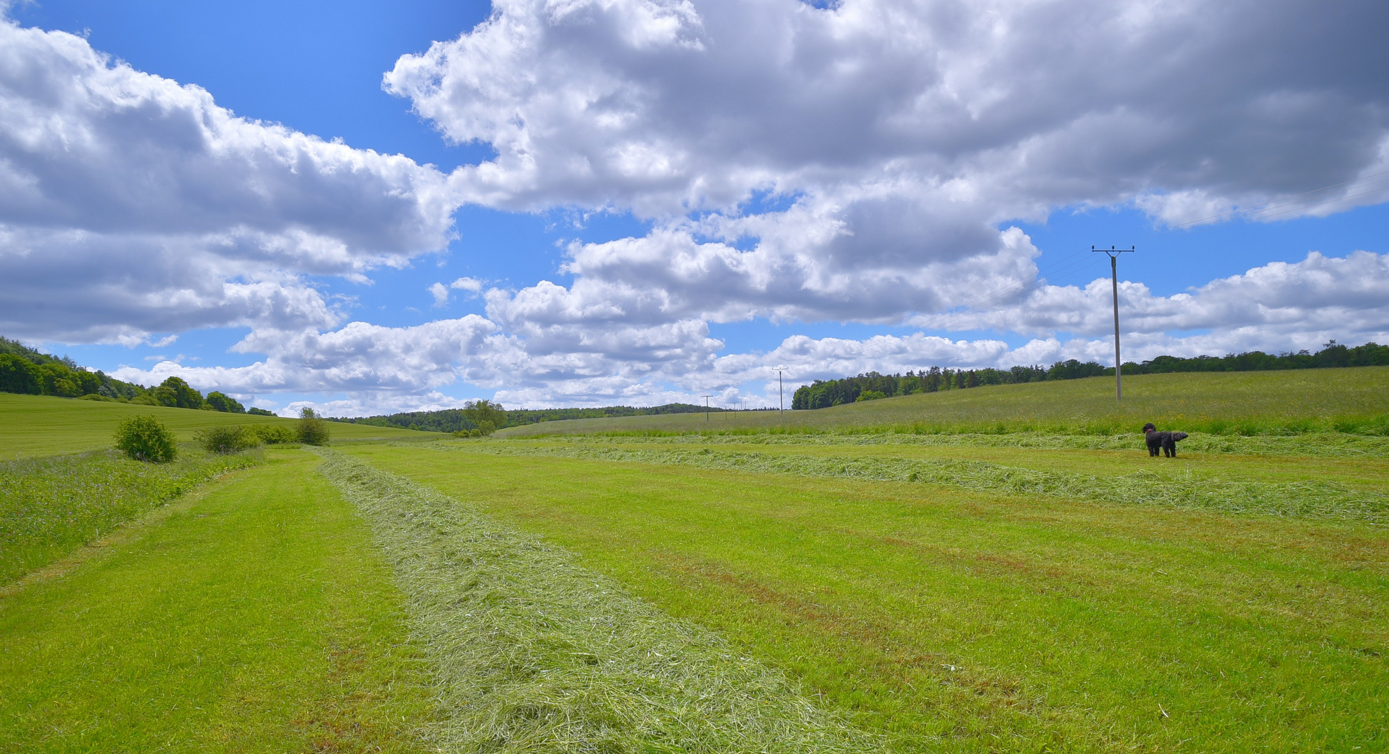 die Wiesen werden gemäht Foto & Bild | landschaft, Äcker, felder ...