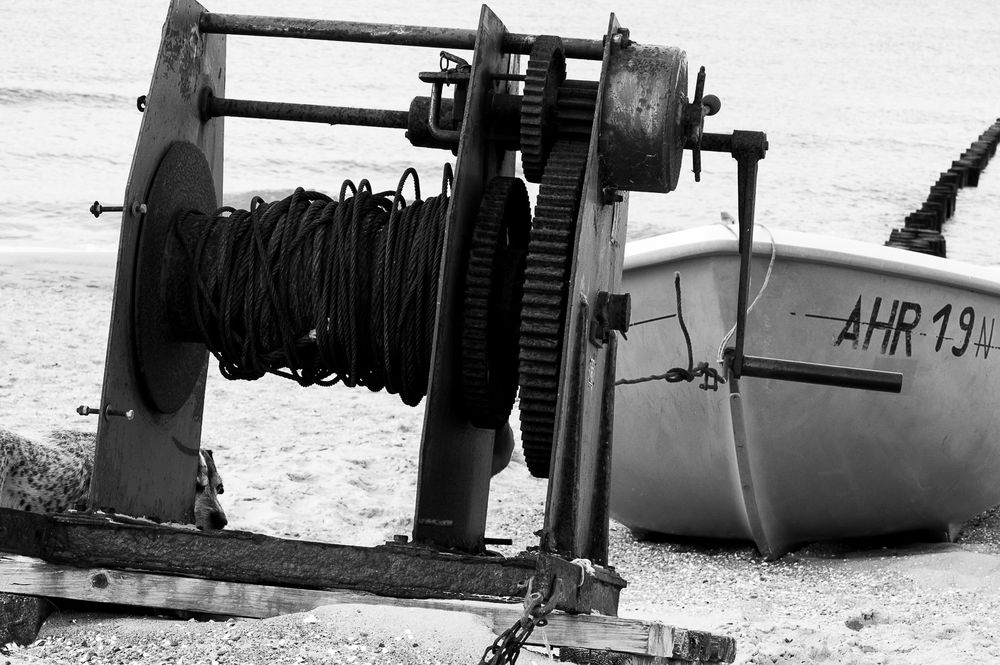 die winde Foto & Bild | natur, landschaft, deutschland Bilder auf ...