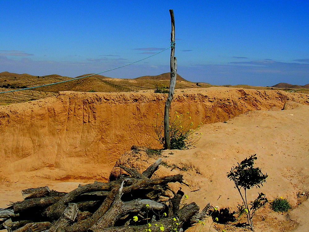 die Wüste lebt Foto & Bild | landschaft, wüste, tunesien Bilder auf ...