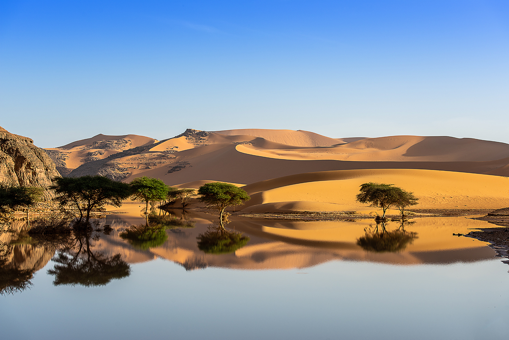 Die Wüste lebt Foto & Bild | africa, north africa, algeria Bilder auf ...