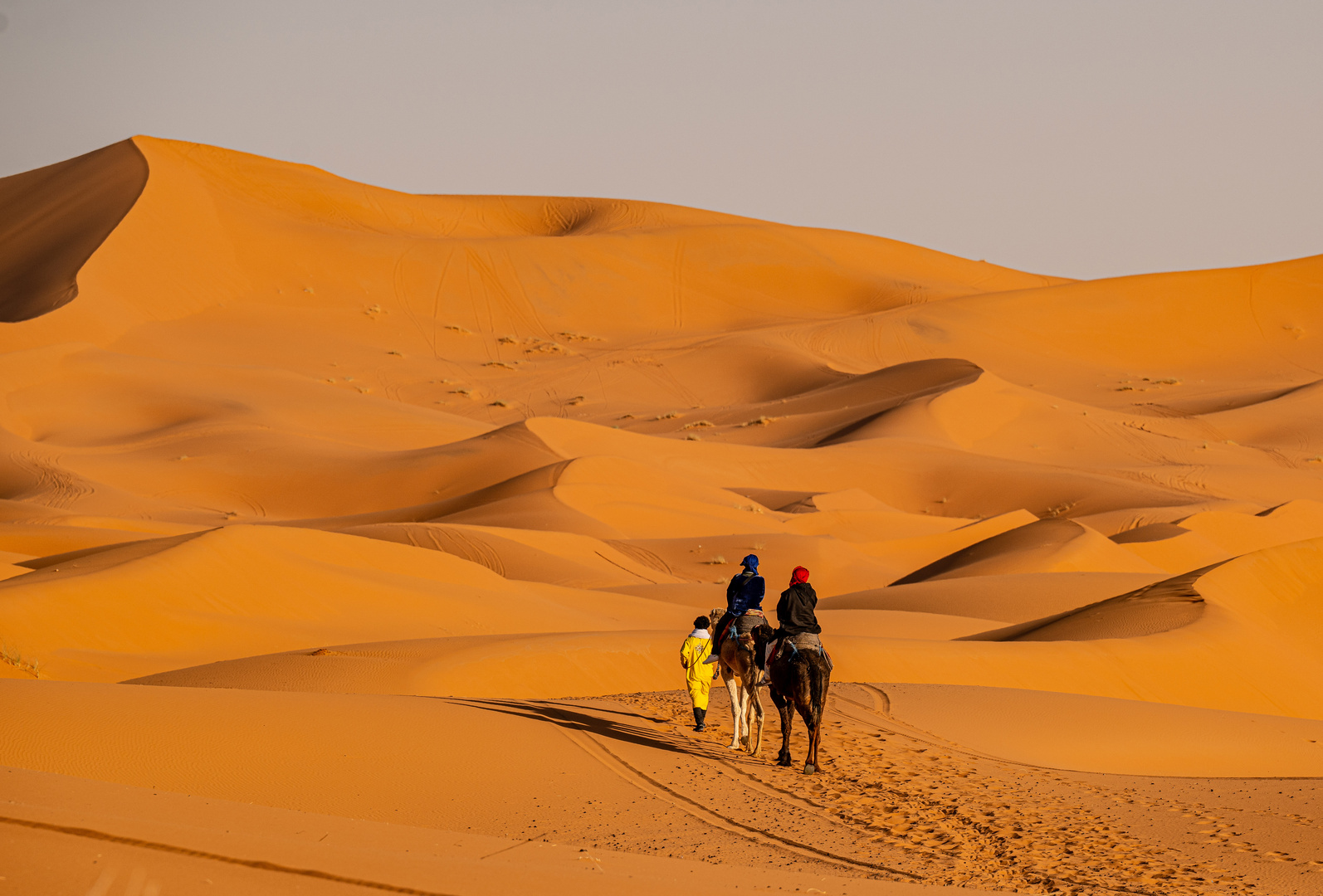 Die Wüste Sahara - einmalig Foto & Bild | africa, morocco, north africa ...