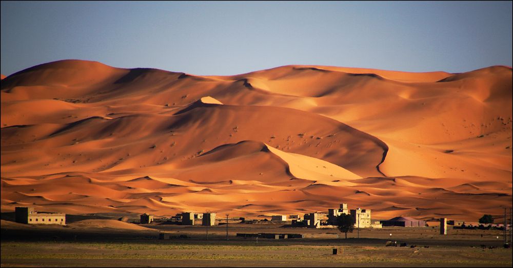 Die Wüste von...? Foto & Bild | landschaft, jahreszeiten, frühling ...