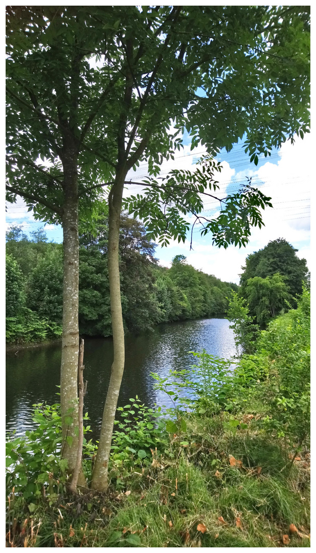 Die Wupper Foto & Bild | landschaft, bach, fluss & see, flüsse und ...