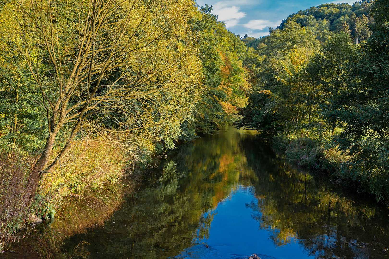 Die Wupper im Herbst Foto & Bild | wald, landschaften, wasser Bilder ...