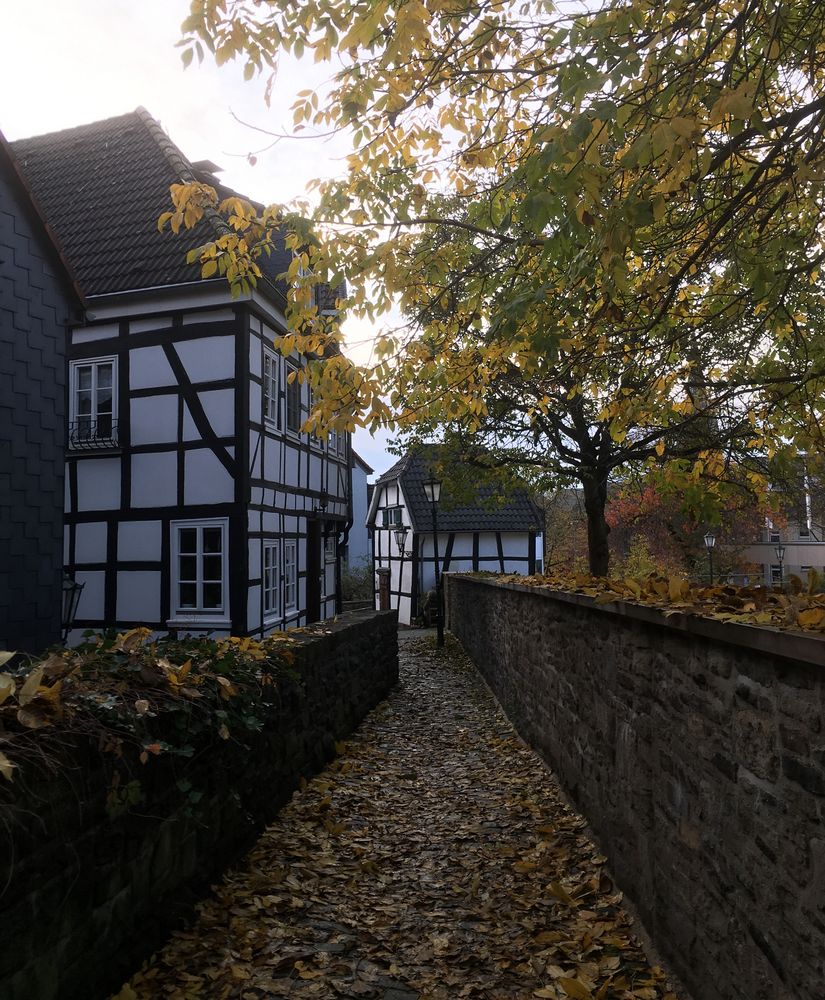 die Zollhausgasse im Herbst Foto & Bild | architektur, jahreszeiten, herbst Bilder auf fotocommunity