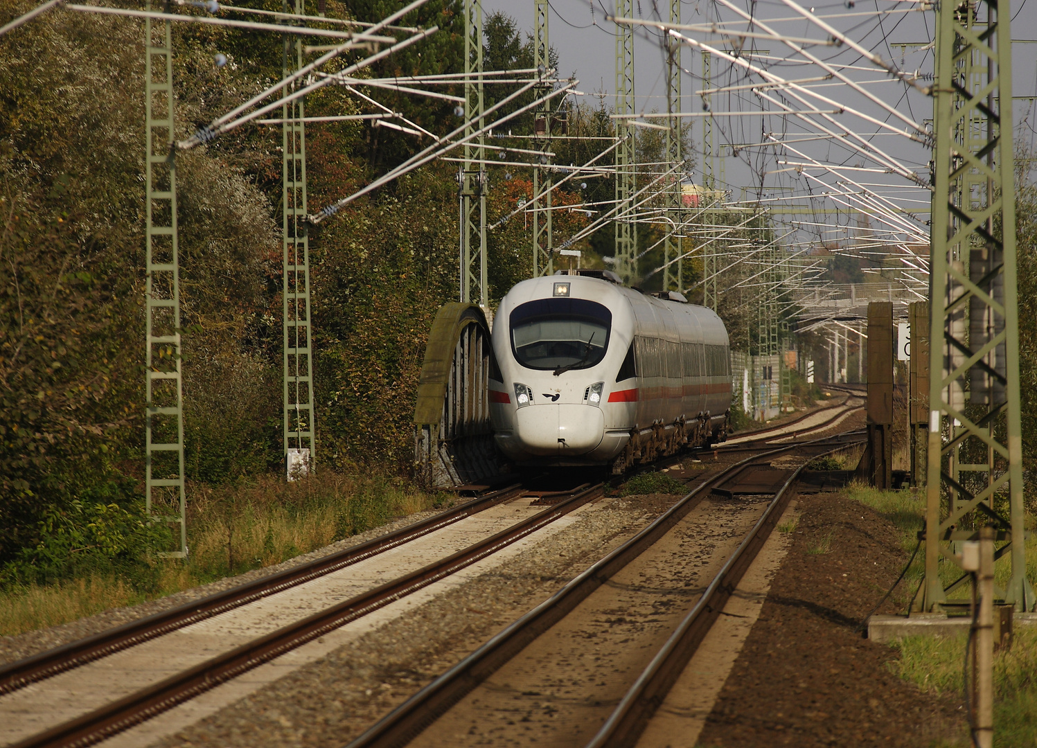 Diesel-ICE bei Lübeck-Genin Foto & Bild | züge ...