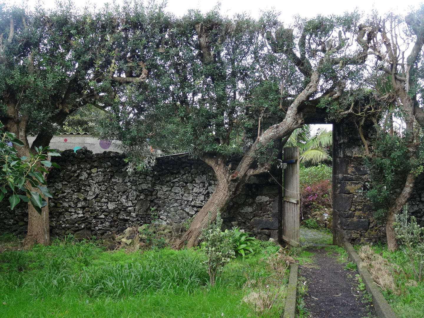 Dieselbe Tür Foto & Bild | landschaft, garten- & parklandschaften ...