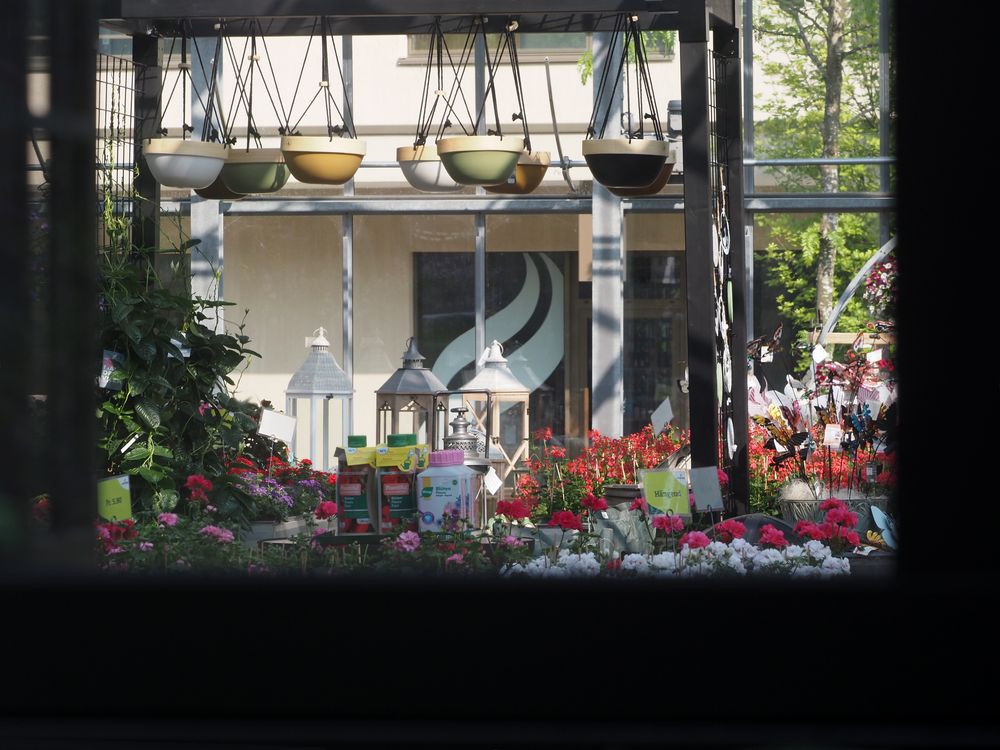 diesen durchblick... Foto & Bild | projekte, 4 - donnerstag mit durchblick, thementage Bilder ...