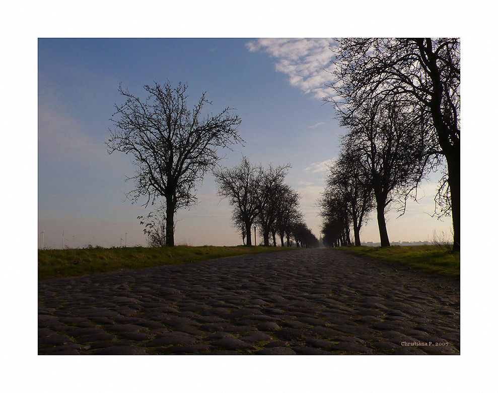 Dieser Weg... Foto & Bild | landschaft, wege und pfade, natur Bilder ...