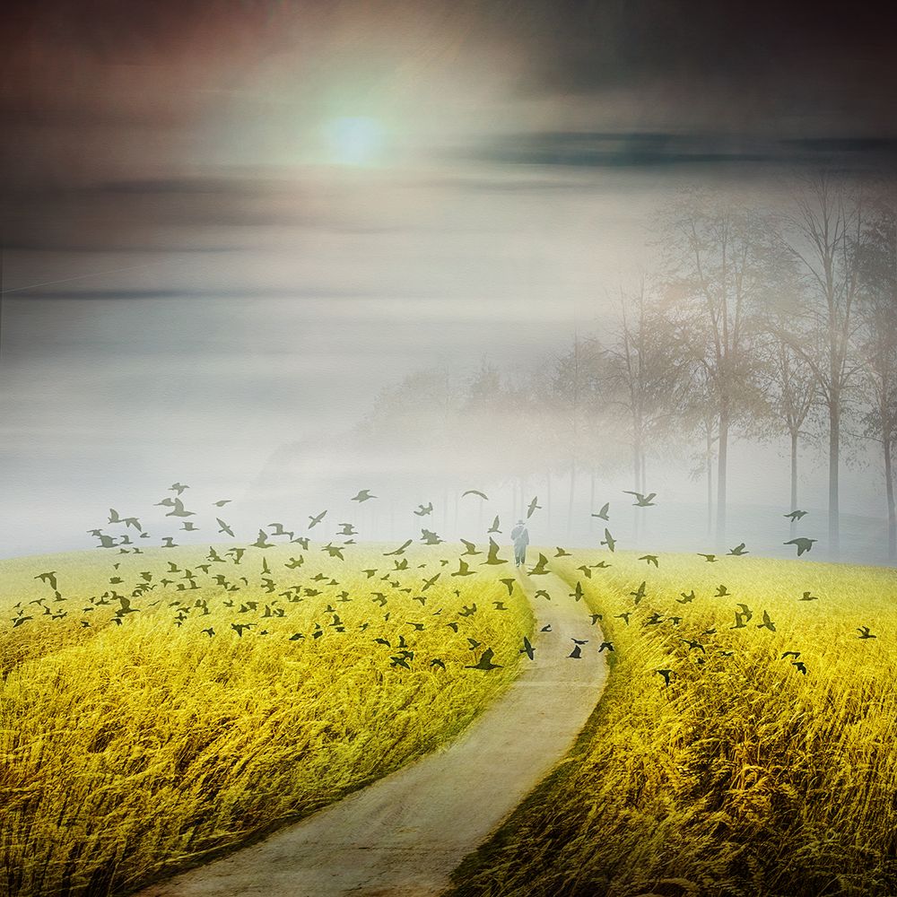 diffus Foto & Bild | fotomontage, fantasy mystery, digiart Bilder auf fotocommunity