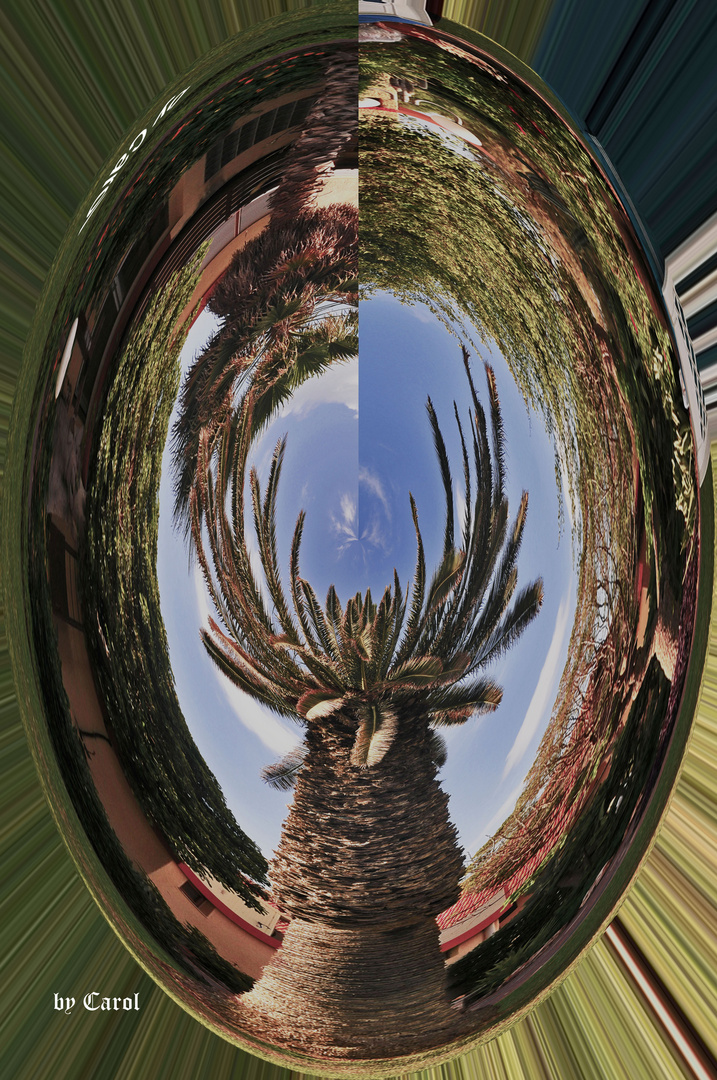 Diform Foto & Bild | bearbeitungs - techniken, filtertechniken, carol zwilling Bilder auf ...