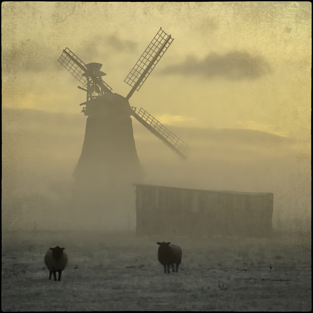 digi · LOG [III] Foto & Bild | spezial, analog, winter Bilder auf ...