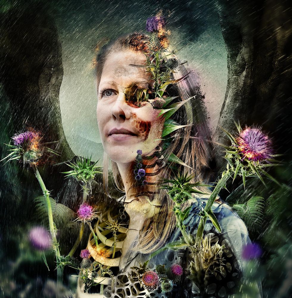 Digital Decay Nr. 12 Foto & Bild | fotomontage, surreal, fotoprojekt "decay" Bilder auf ...