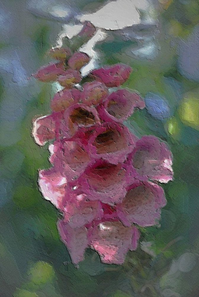 DIGITALINE ORIGINAL JPEG photo et image | fleurs, nature, campagne ...