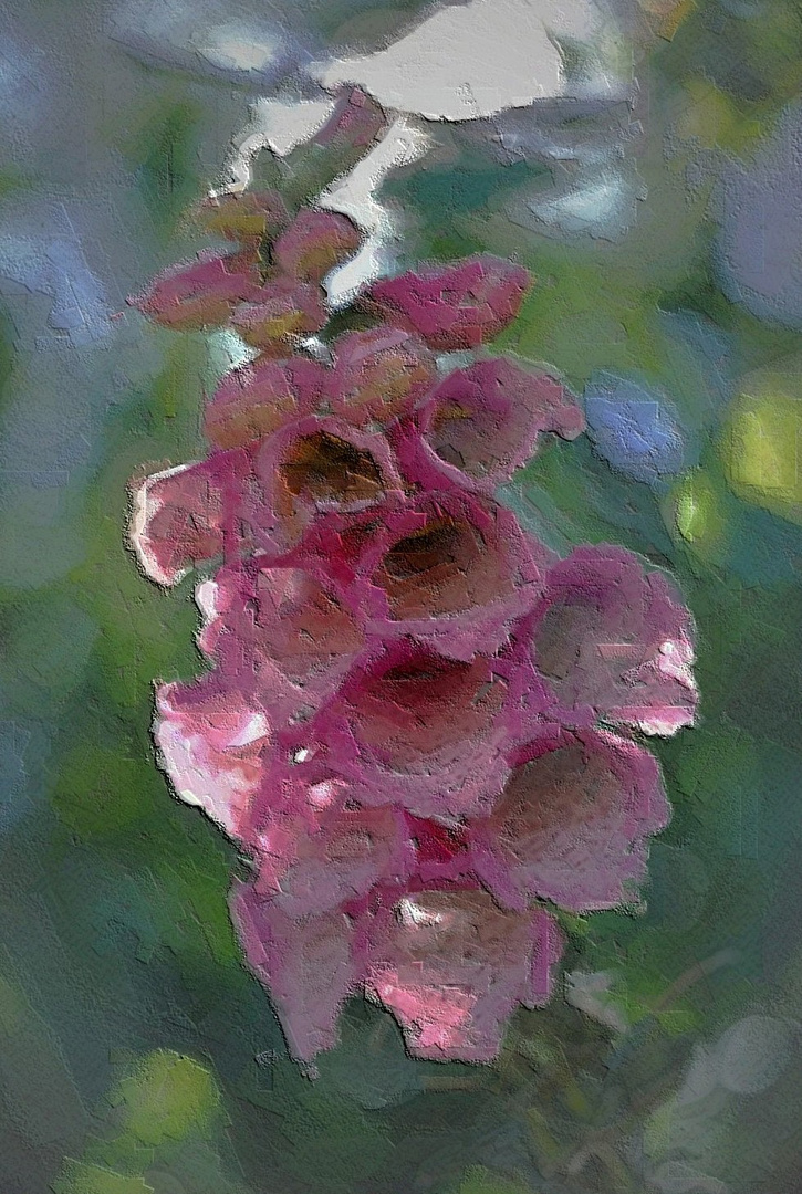 DIGITALINE ORIGINAL JPEG photo et image | fleurs, nature, campagne ...