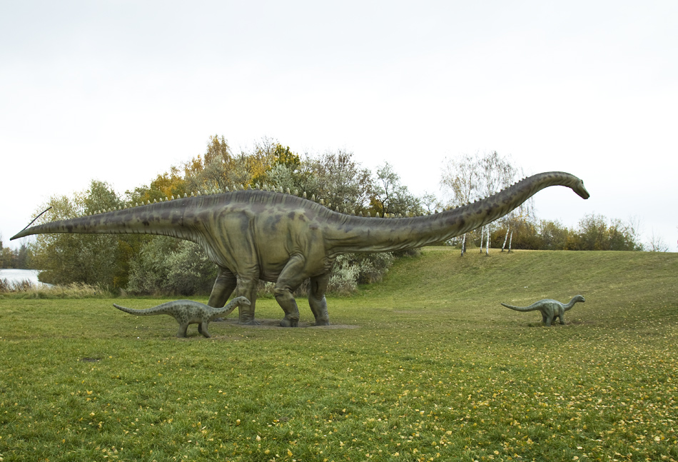 DIPLODOCUS Foto & Bild | sonstiges, natur Bilder auf fotocommunity