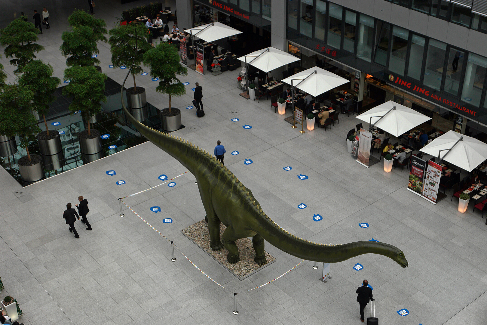 DIPLODOCUS LONGUS I Foto & Bild | flughafen, dinosaurier, squaire ...