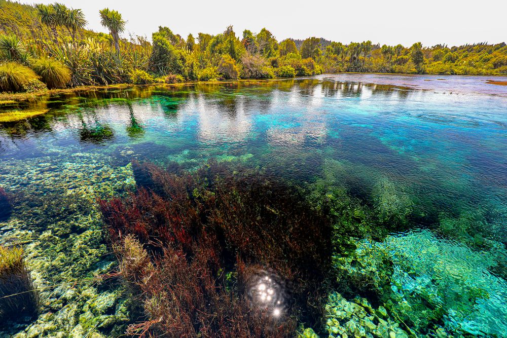 Direkt an der Quelle Foto & Bild | world, spezial, natur Bilder auf ...