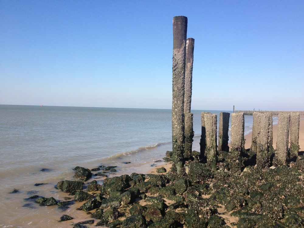 Dishoek im Oktober Foto & Bild | strand Bilder auf fotocommunity